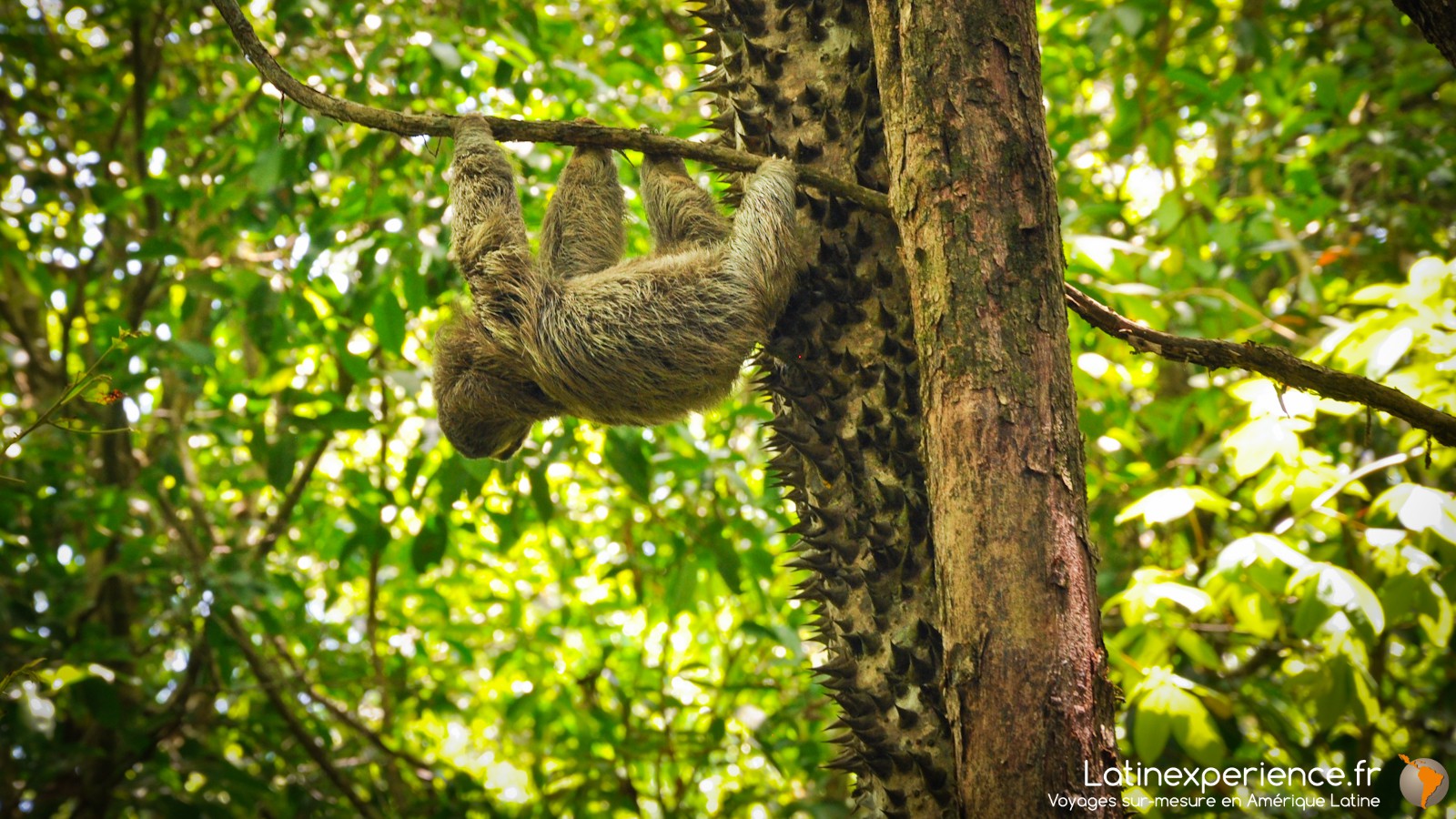 Sierpe au Costa Rica - Blog latinexperience