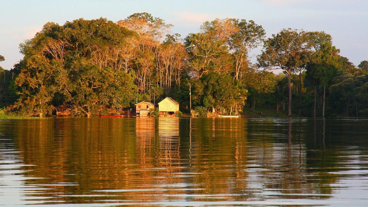 Que faire en Amazonie : guide de voyage complet