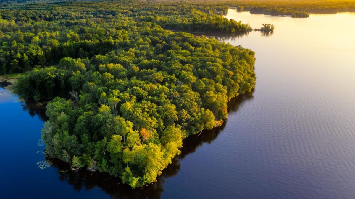 Que faire en Amazonie : guide de voyage complet