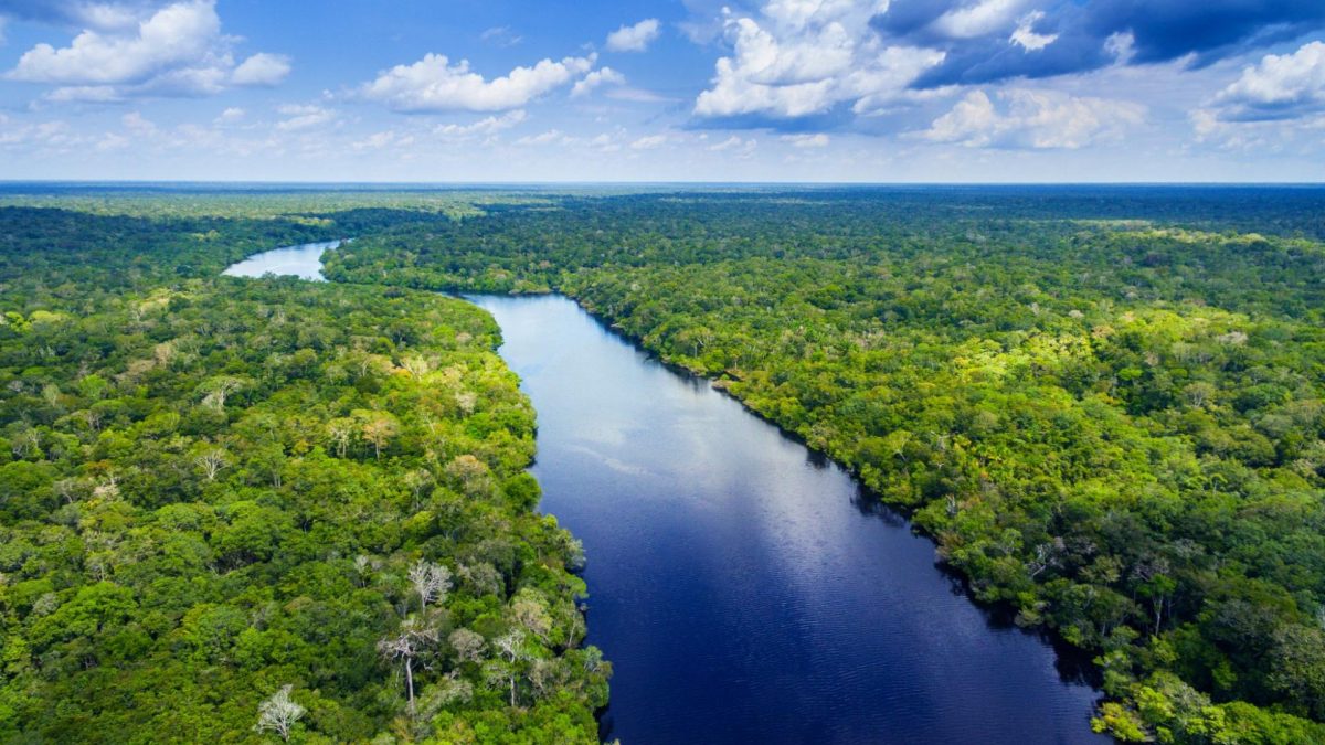Que faire en Amazonie : guide de voyage complet